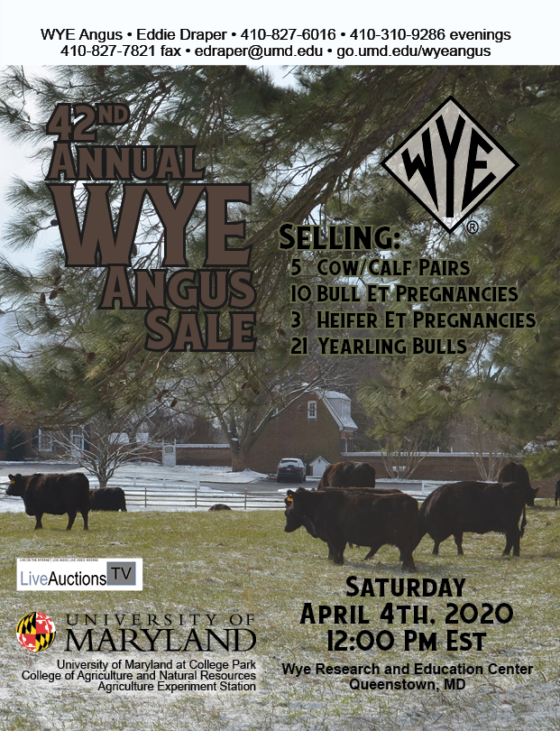 Annual Sale | College of Agriculture & Natural Resources, University of ...